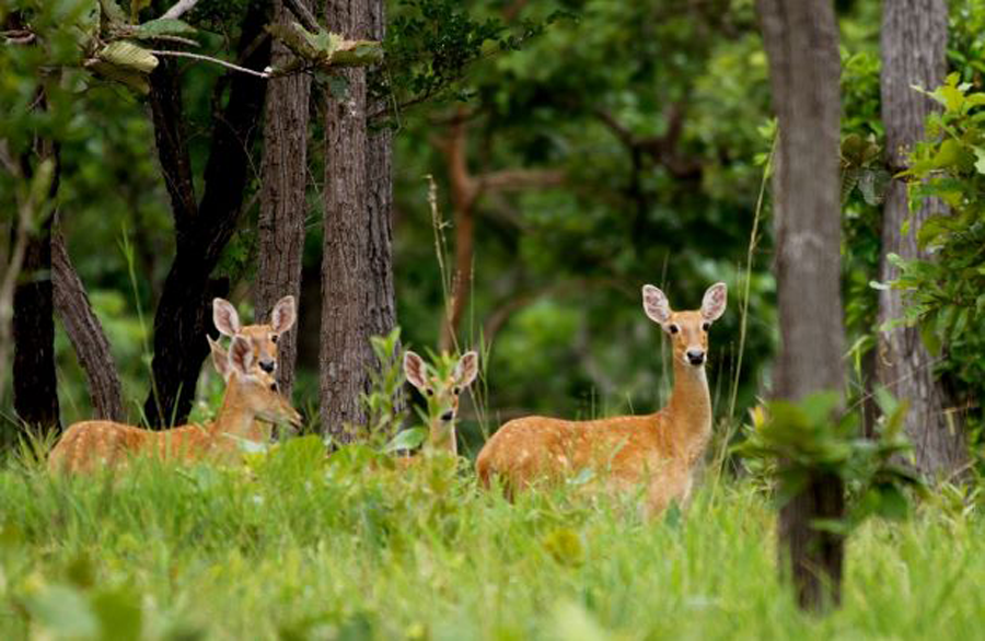 Safeguarding the environment and promoting eco-tourism in Lao PDR | UNV